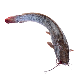 Vegetables Price - नेपाली पात्रो