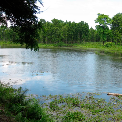 Falgun 2081 - Nepali Patro - Nepali Calendar - नेपाली पात्रो