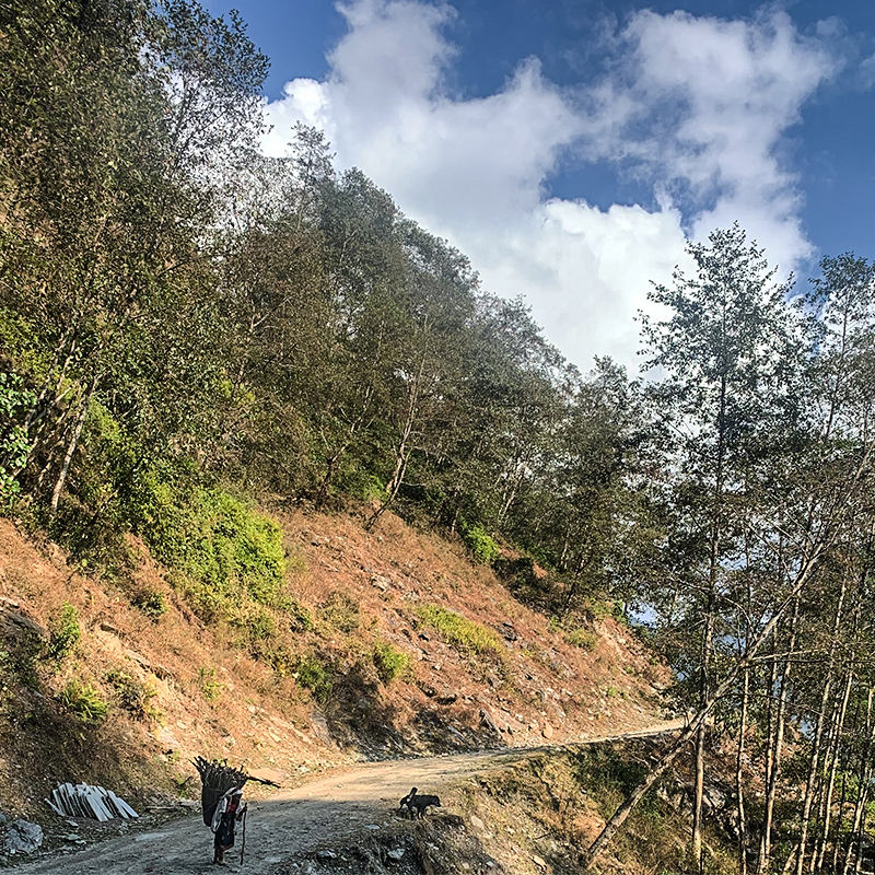 2080 - Nepali Patro - Nepali Calendar - नेपाली पात्रो